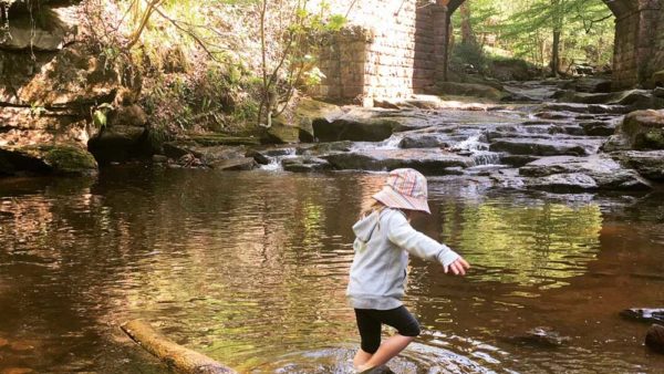 Five reasons to visit Falling Foss near Whitby | Little Vikings (York ...