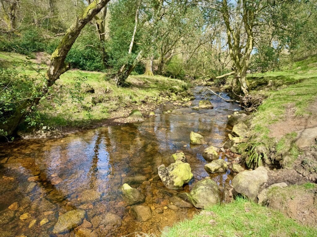 Five reasons to visit Falling Foss near Whitby | Little Vikings (York ...
