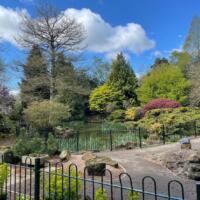 York’s best parks, gardens and green spaces 2023 | Little Vikings