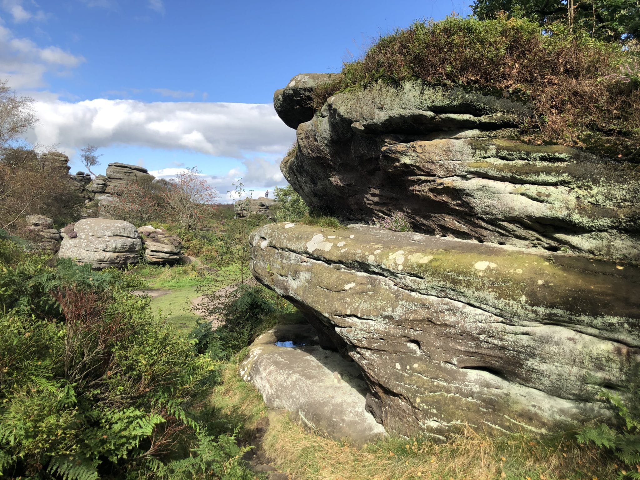 Five reasons to visit Brimham Rocks | Little Vikings