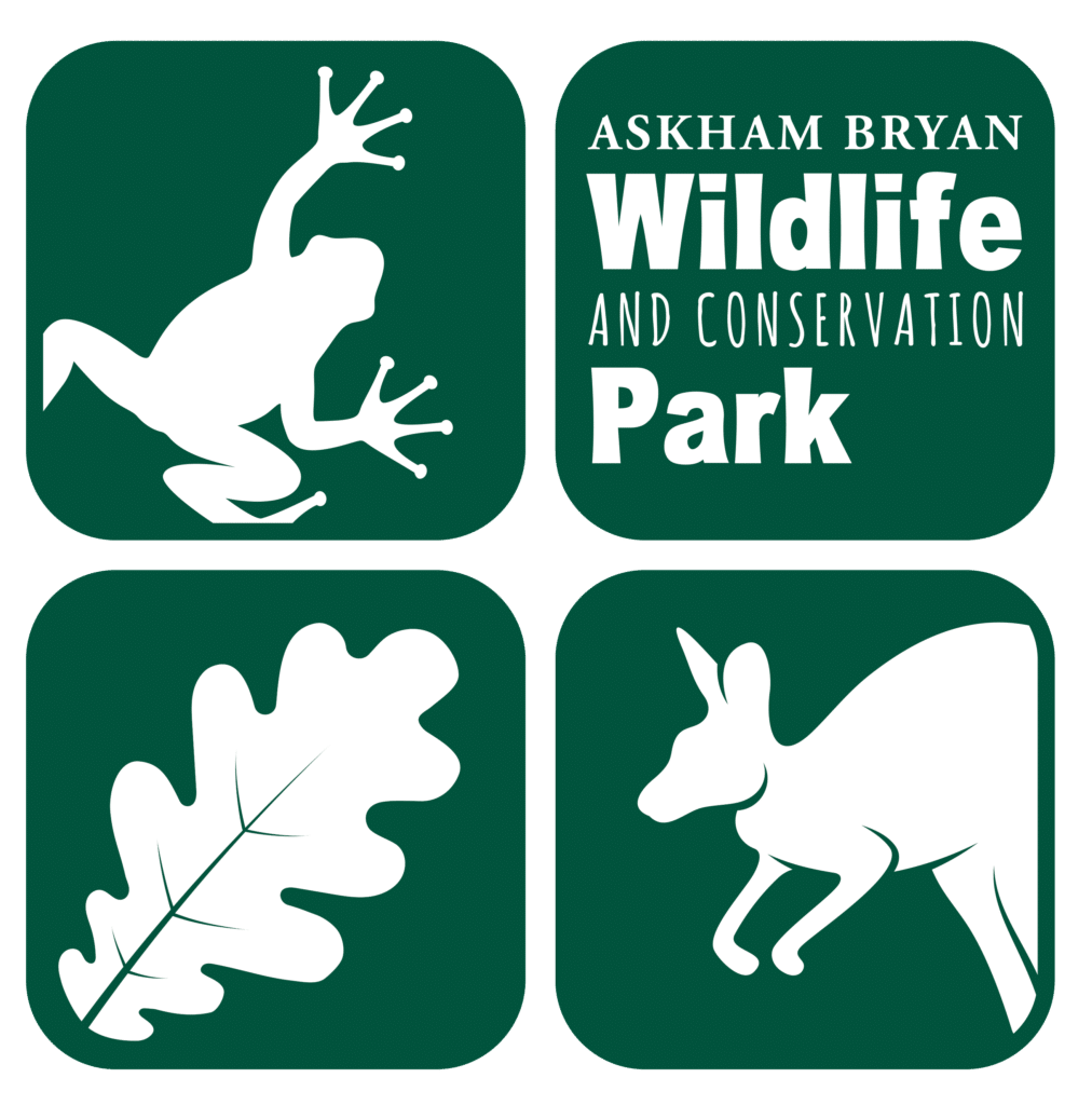 Askham Bryan Wildlife Park | Little Vikings - York for Kids