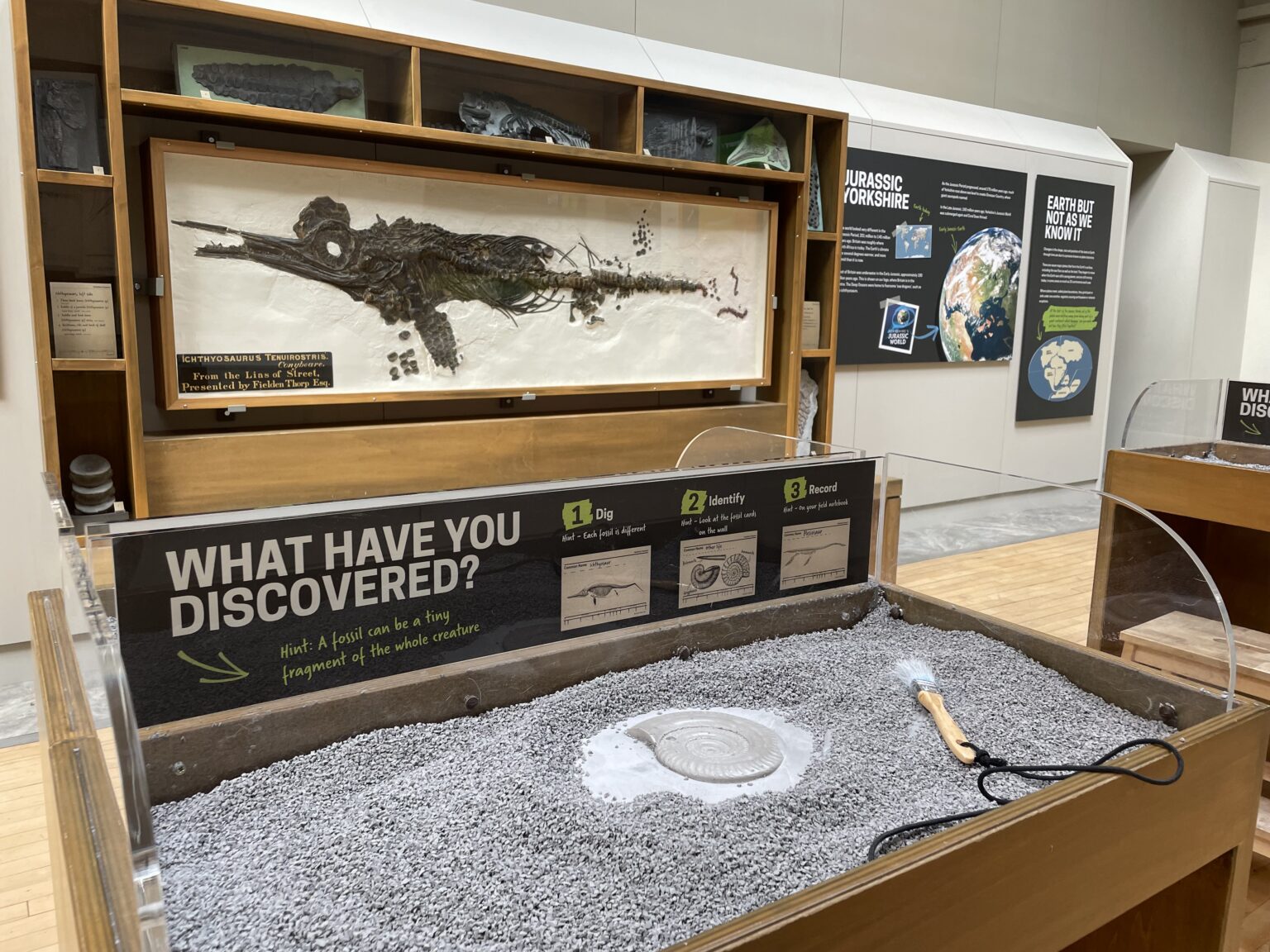 Five reasons to visit The Yorkshire Museum with kids | Little Vikings ...