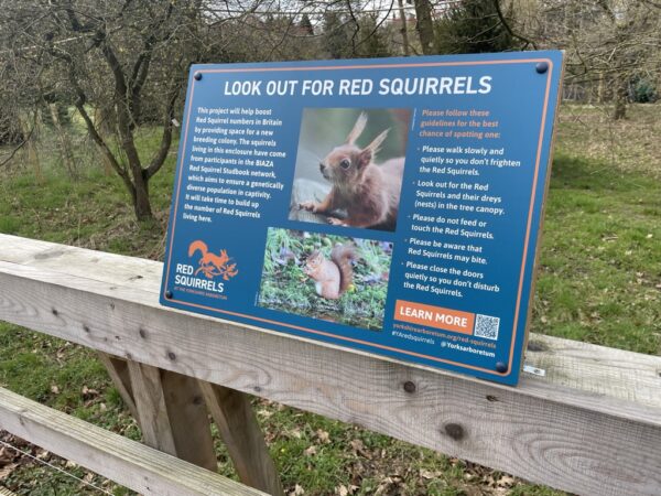 Review – Yorkshire Arboretum (and the new red squirrel enclosure ...