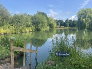 Review – Wild swimming at Pool Bridge Farm, York 2025 | Little Vikings
