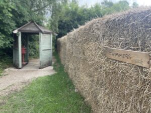 Review – Wild swimming at Pool Bridge Farm, York 2025 | Little Vikings