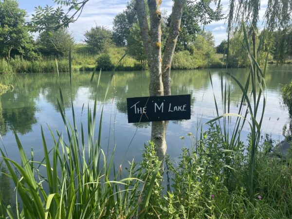 Review – Wild swimming at Pool Bridge Farm, York 2025 | Little Vikings