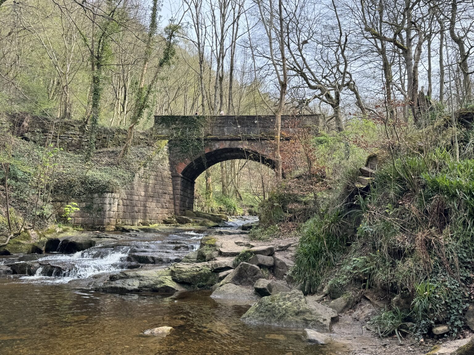 Five reasons to visit Falling Foss near Whitby | Little Vikings (York ...