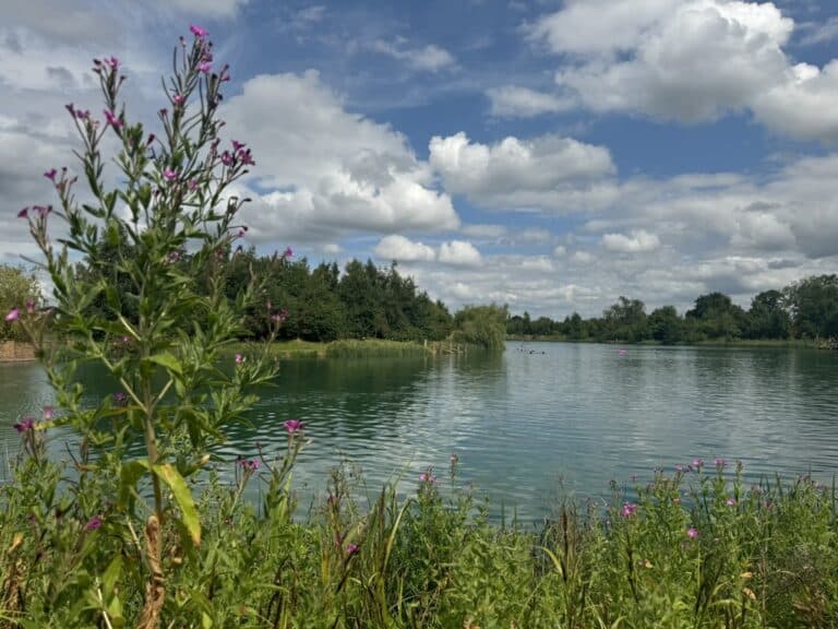 New family swimming lake at Pool Bridge Farm | Little Vikings (York for ...