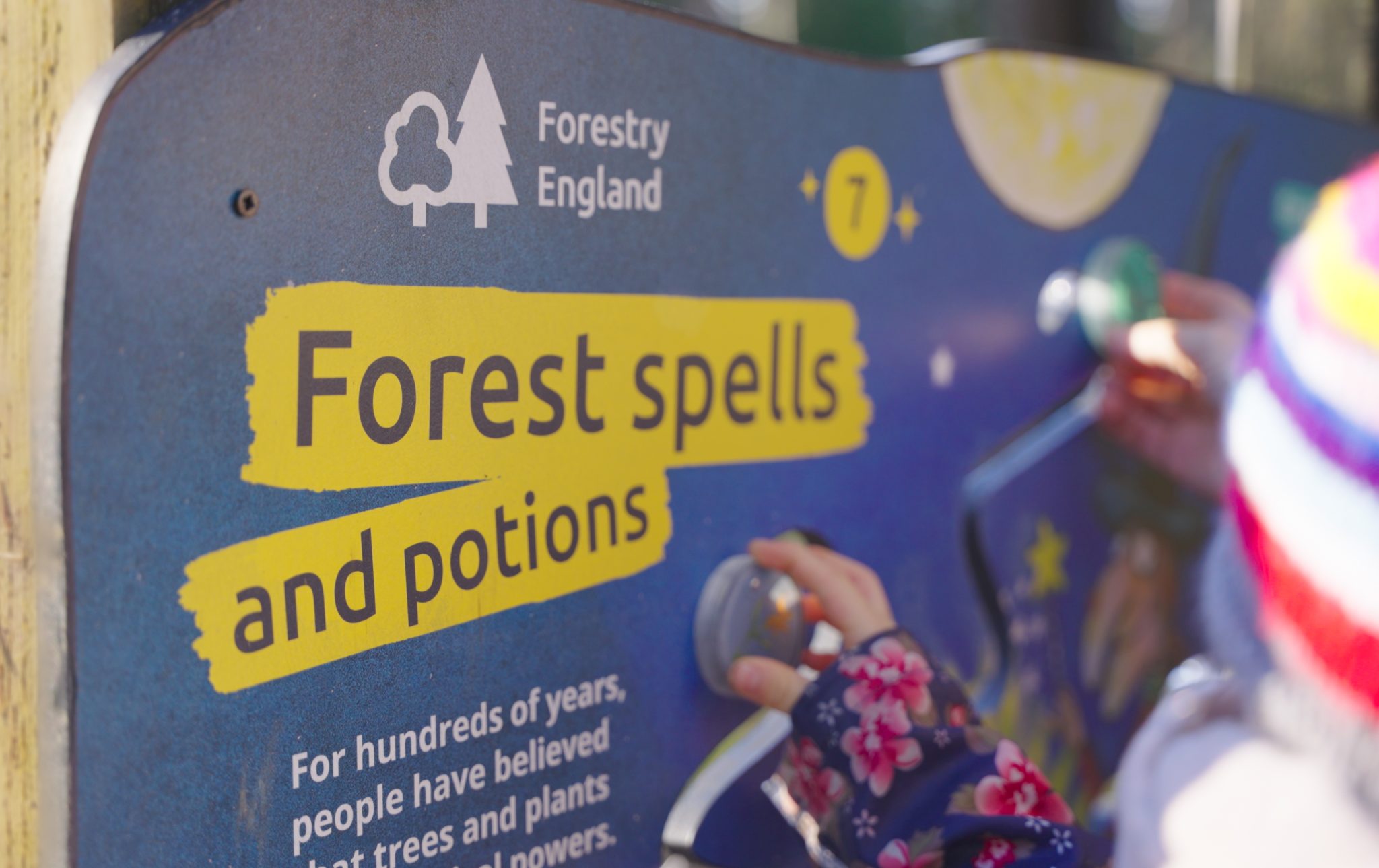 Room On The Broom! A magical new family trail for Dalby Forest | Little ...